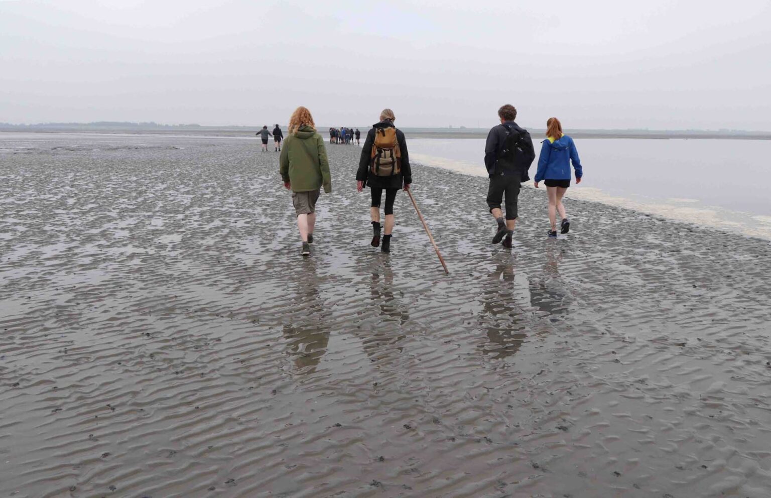 Wadlopen bij Moddergat - Wij reizen graag