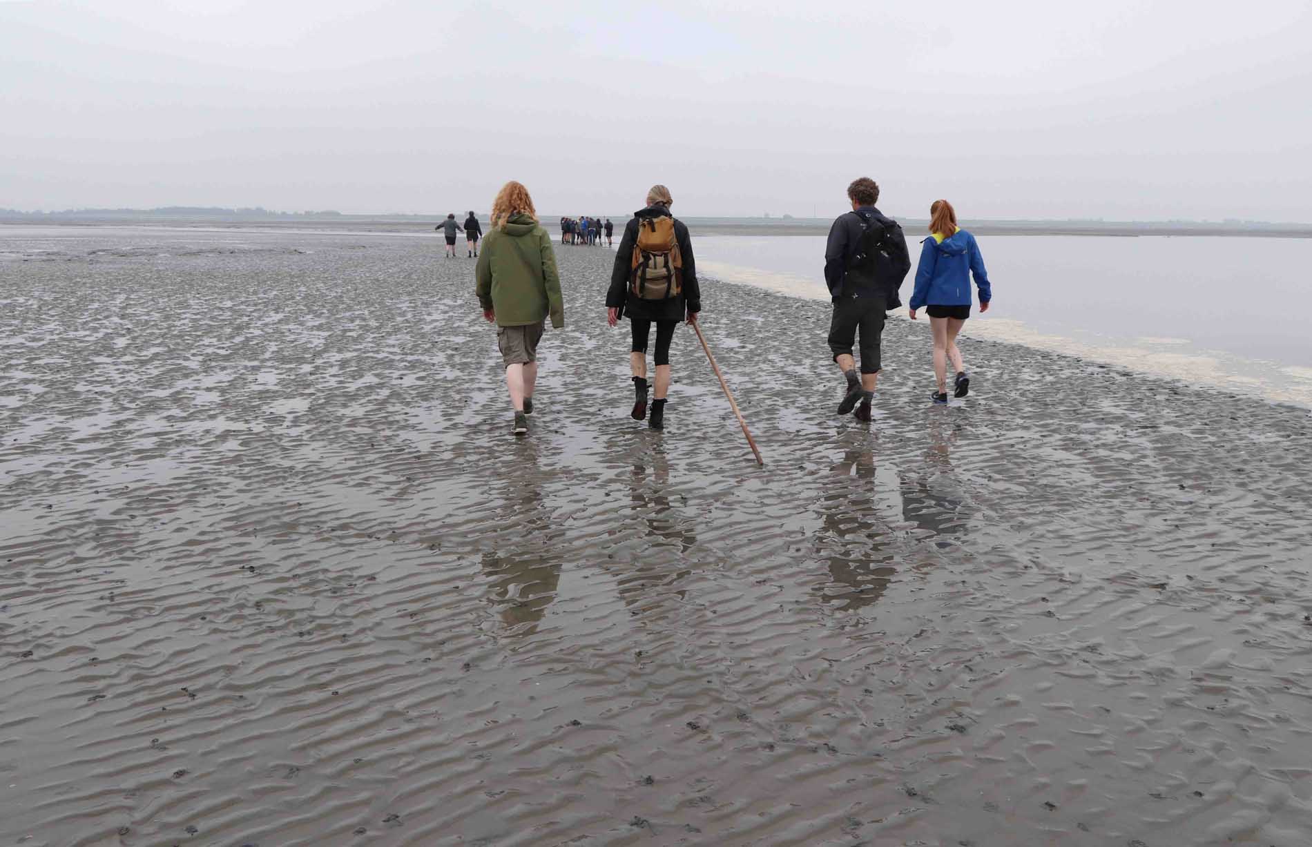 Wadlopen bij Moddergat - Wij reizen graag